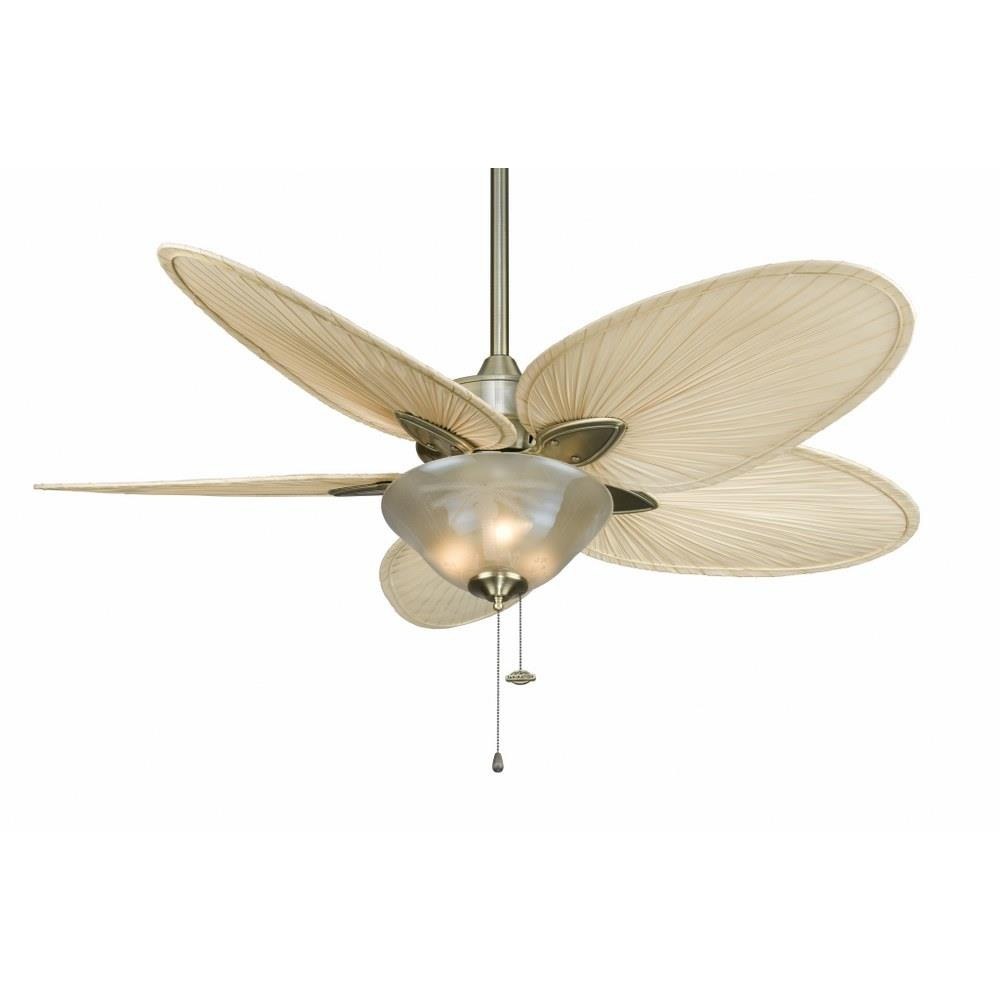 Fanimation Fans - FP7500 - Windpointe - 5 Blade Ceiling Fan-14.5 Inches ...