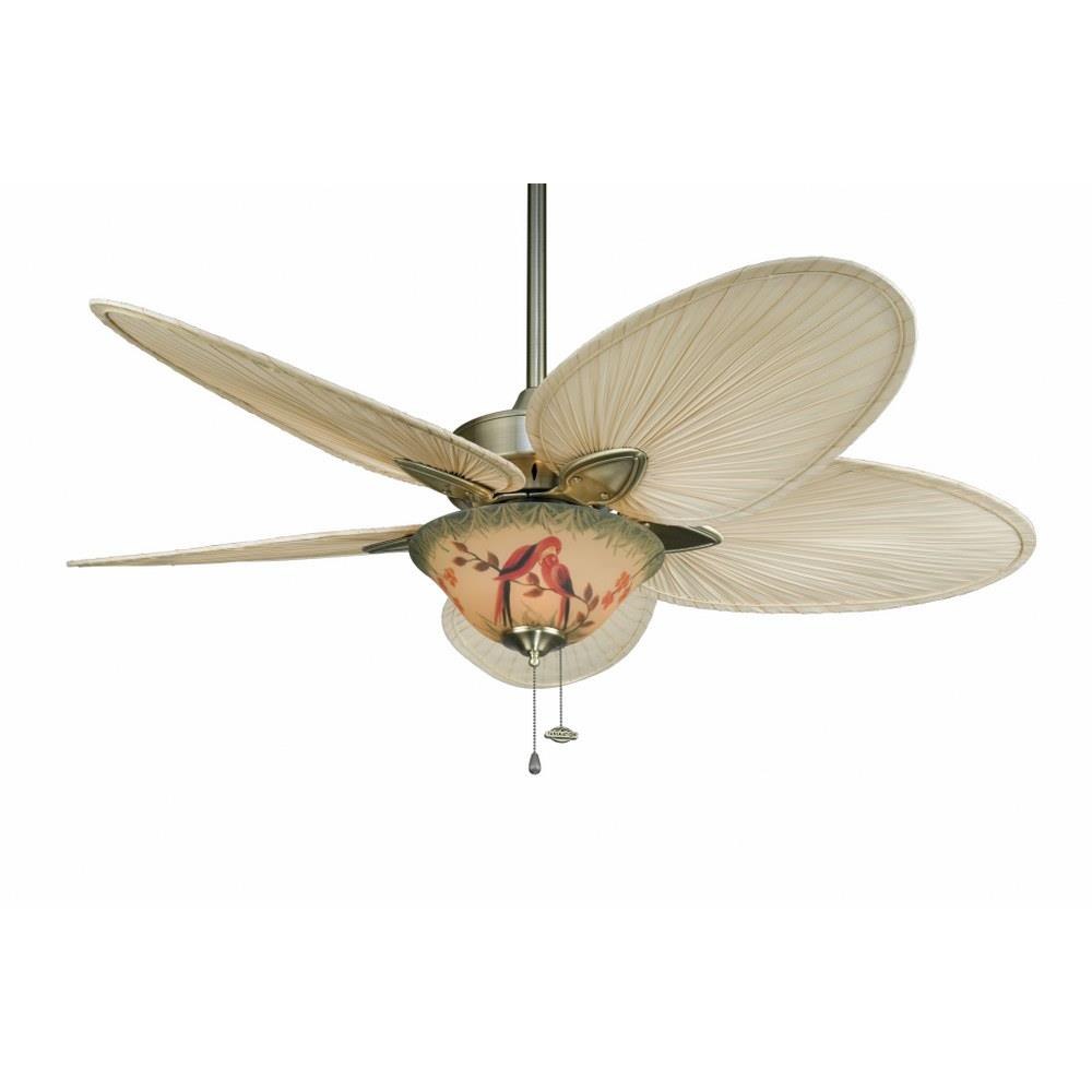 Fanimation Fans - FP7500 - Windpointe - 5 Blade Ceiling Fan-14.5 Inches ...