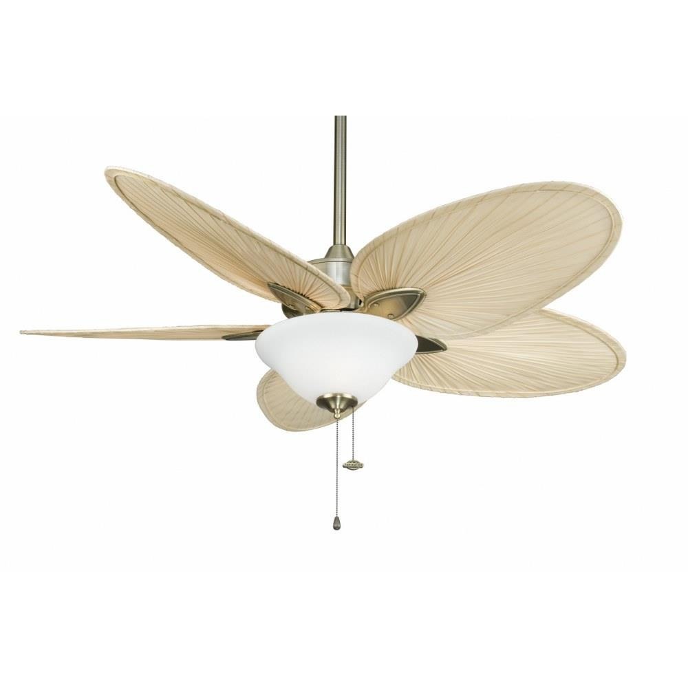 Fanimation Fans - FP7500 - Windpointe - 5 Blade Ceiling Fan-14.5 Inches ...
